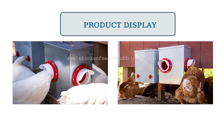 Chicken Coop Accessories Automatic Poultry Feeders Outdoor Rainproof ...