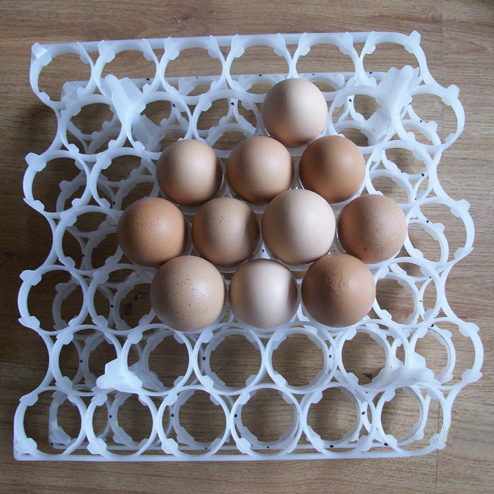 Plastic Trays for Eggs Stackable Egg Pallet Irregular 42 Egg Incubation ...