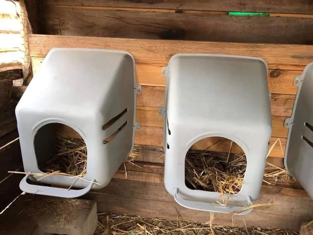Easy Clean Chicken Egg Laying Box Plastic Nesting Box for Hen Egg Nest ...