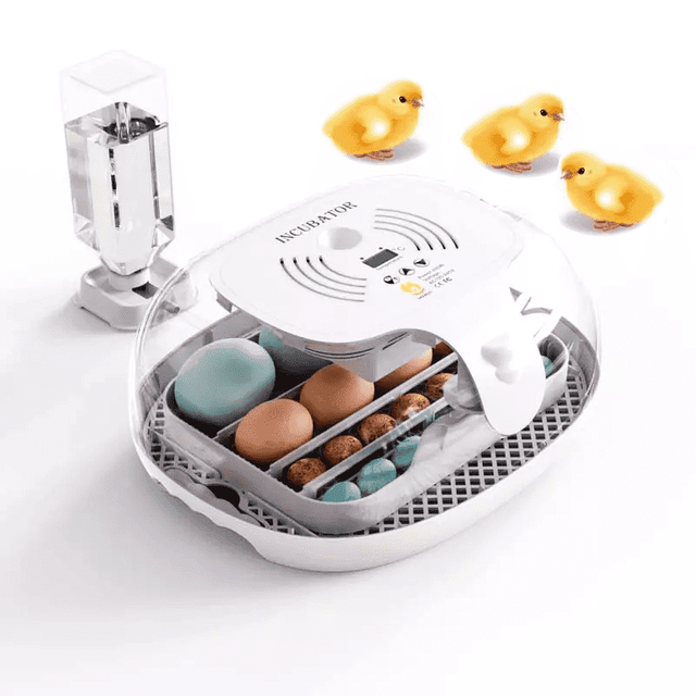 China Mini Egg Incubator, chicken transport cages, Rabbit drinker ...