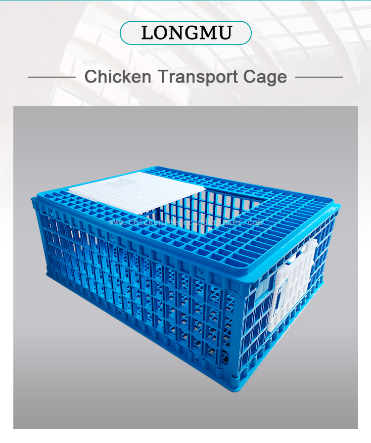 Chicken Transport Cage Poultry Farms Transport Boxes Plastic Broiler ...