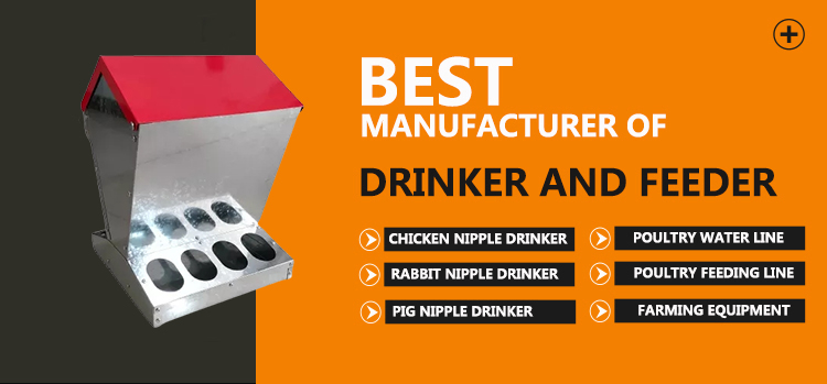 Galvanized Metal Poultry Feeders And Drinkers Automatic No Waste ...