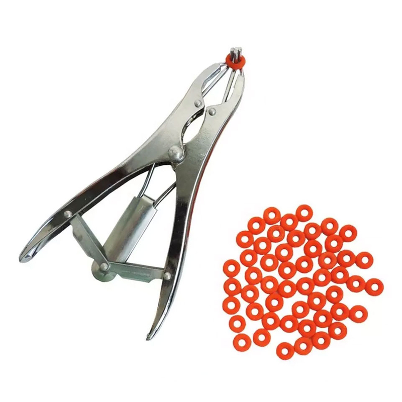 Pigs And Sheep Castration Pliers And 100 Particulate Rubber Ring Castration Device Castration ...