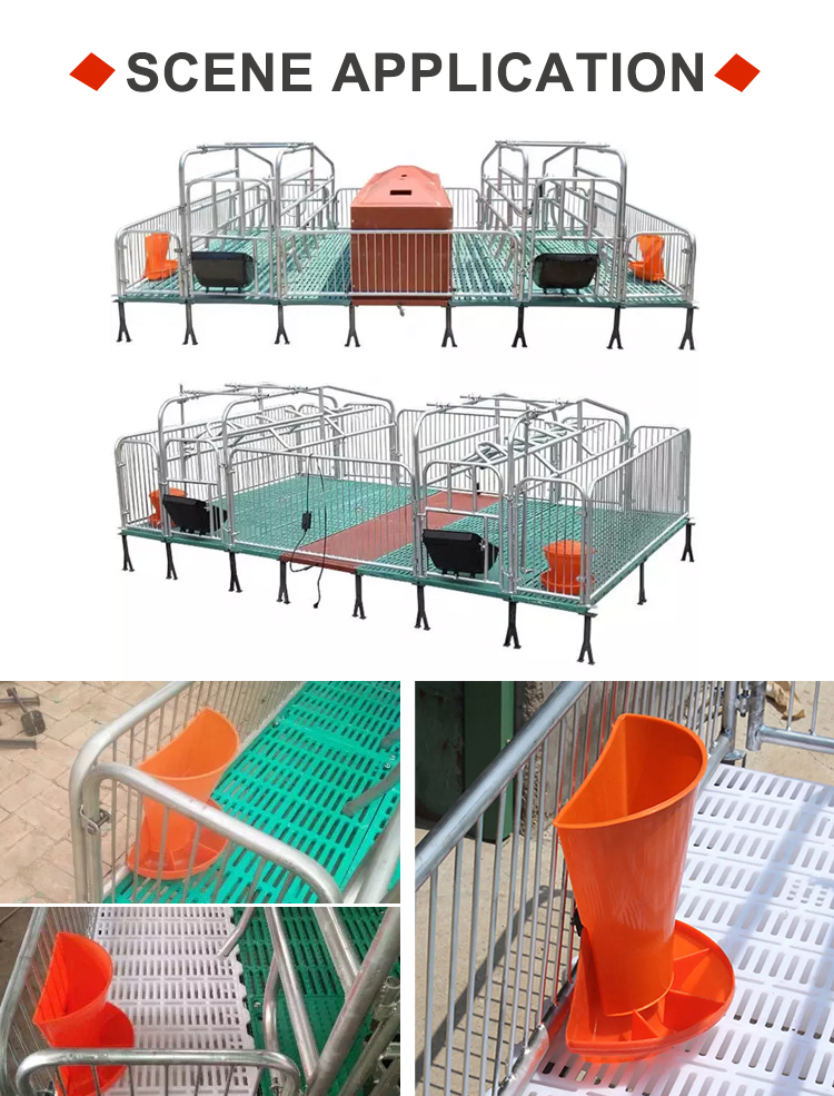 Plastic Piglet Feeder Pig Farm Feeder System for Sow Farrowing Crate ...