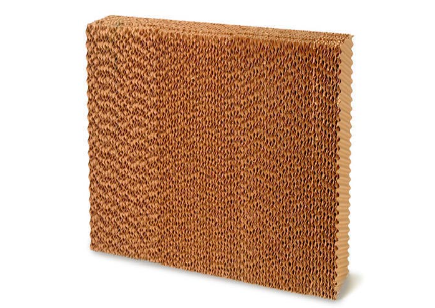 Chicken Coop Scientific Management - Long Mu Animal Husbandry