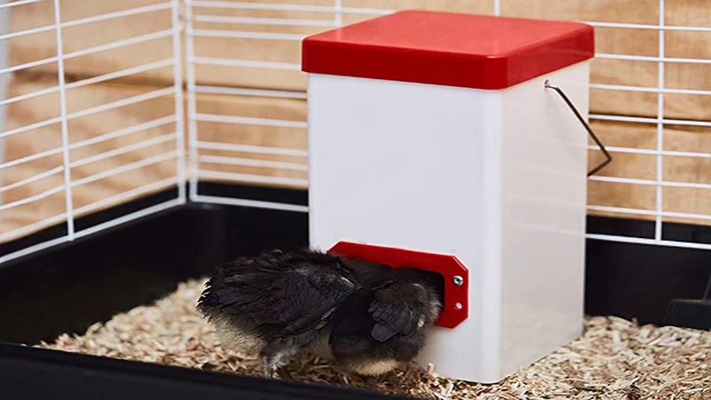 DIY High Quality Poultry Chicken Feeder Barrel Plastic Bucket Farm ...