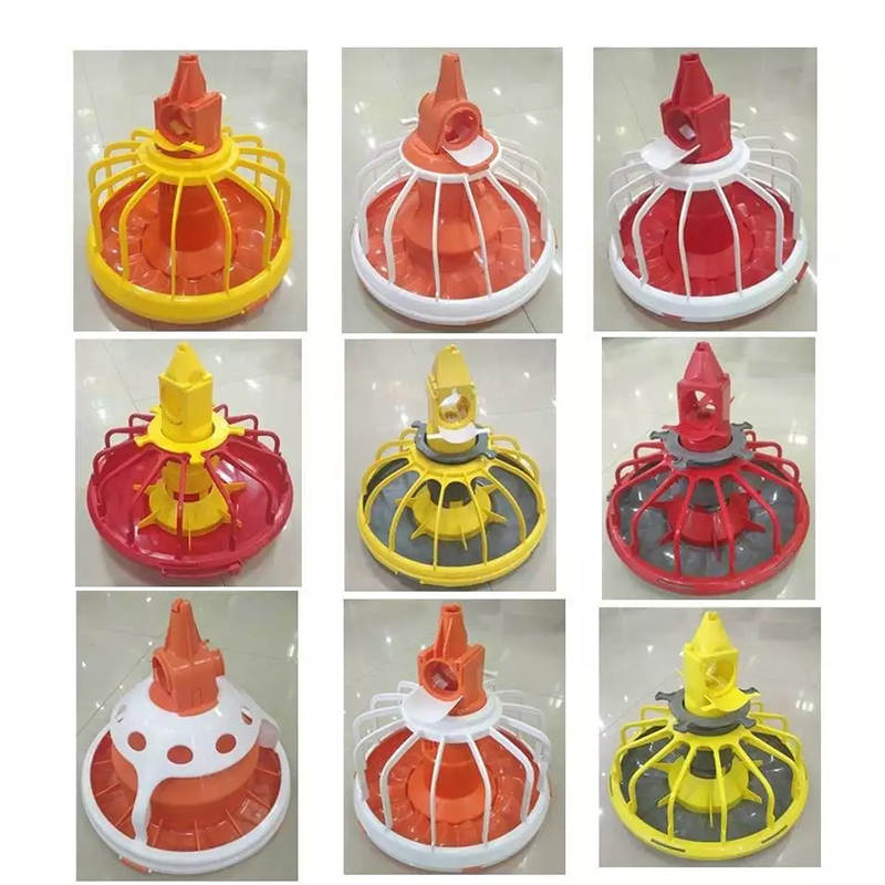 The New Poultry Automatic Feeding System Chicken Broiler Breeders ...