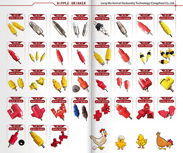chicken nipple waterer pvc pipe news - Long Mu Animal Husbandry