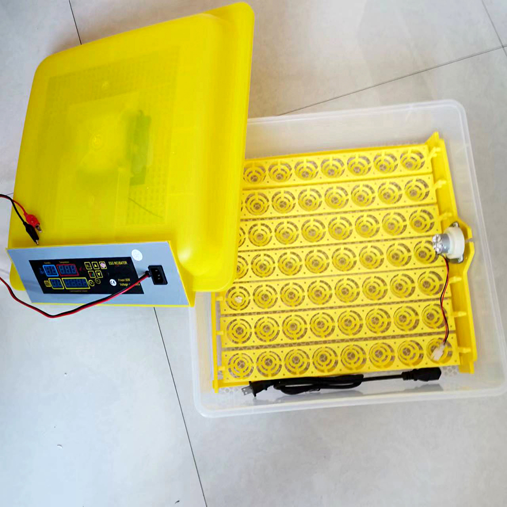 Mini Fully Automatic Chicken Egg Incubators Hatching Eggs Machine for ...