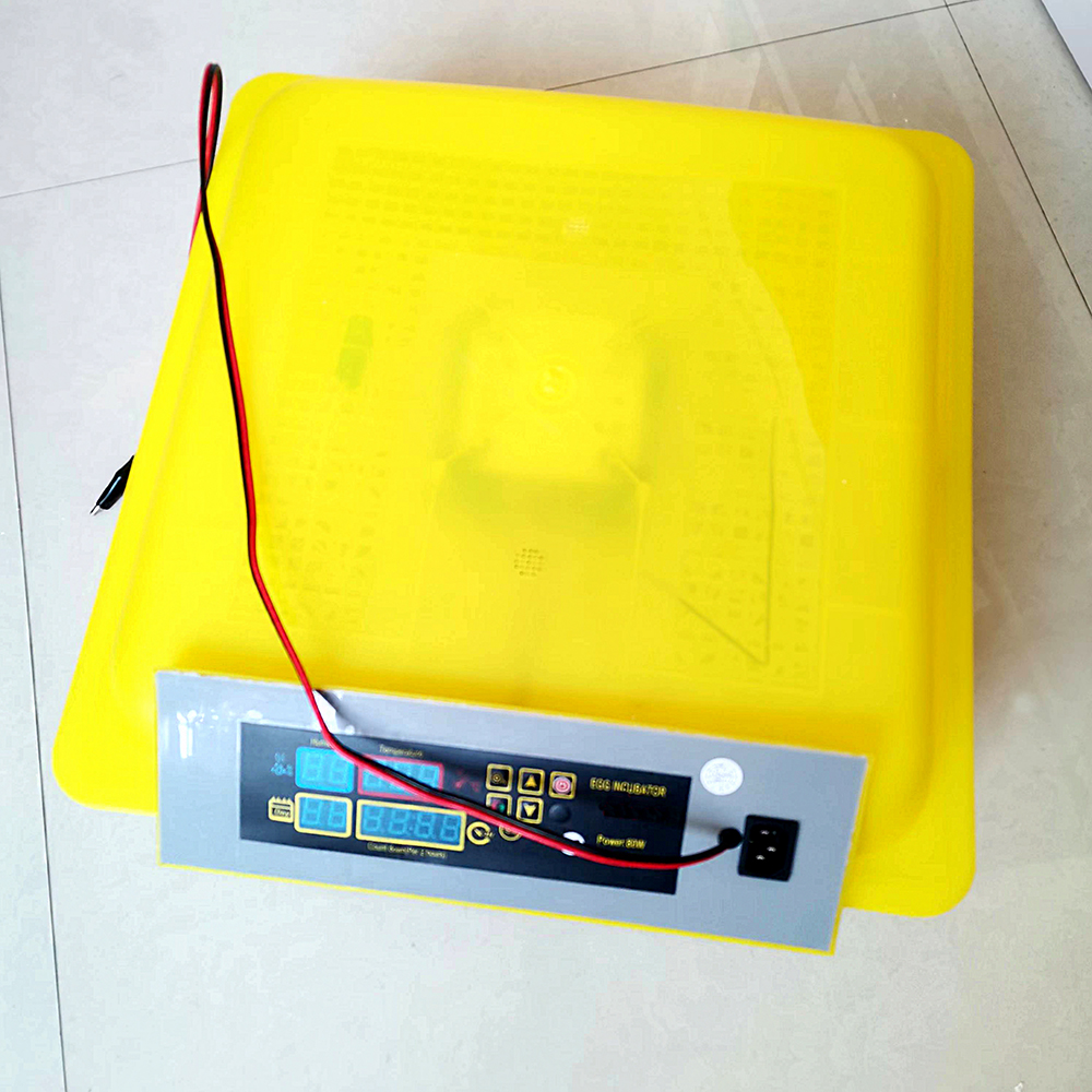 Mini Fully Automatic Chicken Egg Incubators Hatching Eggs Machine for ...